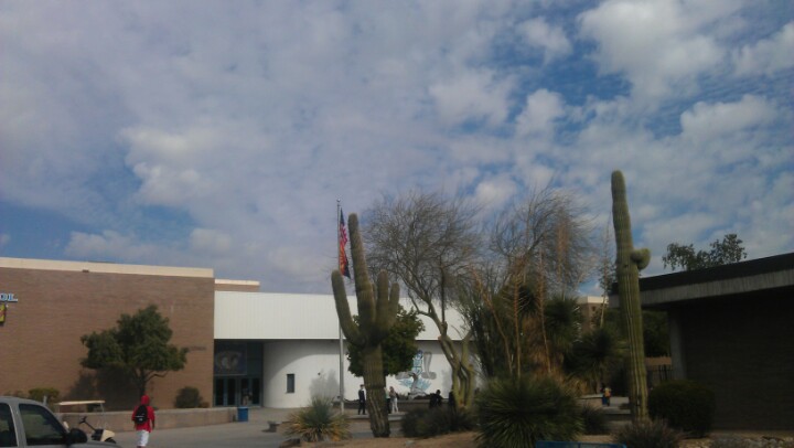 Cactus High School Logo