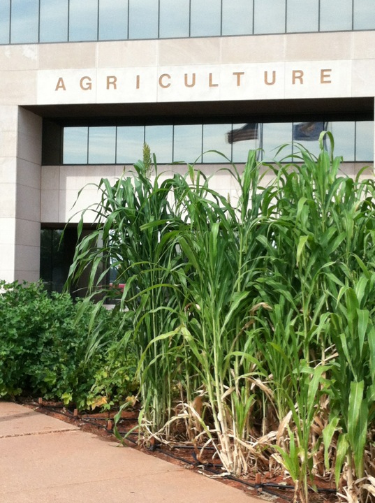 What Is Oklahoma Known For Agriculture at Dwight Burke blog